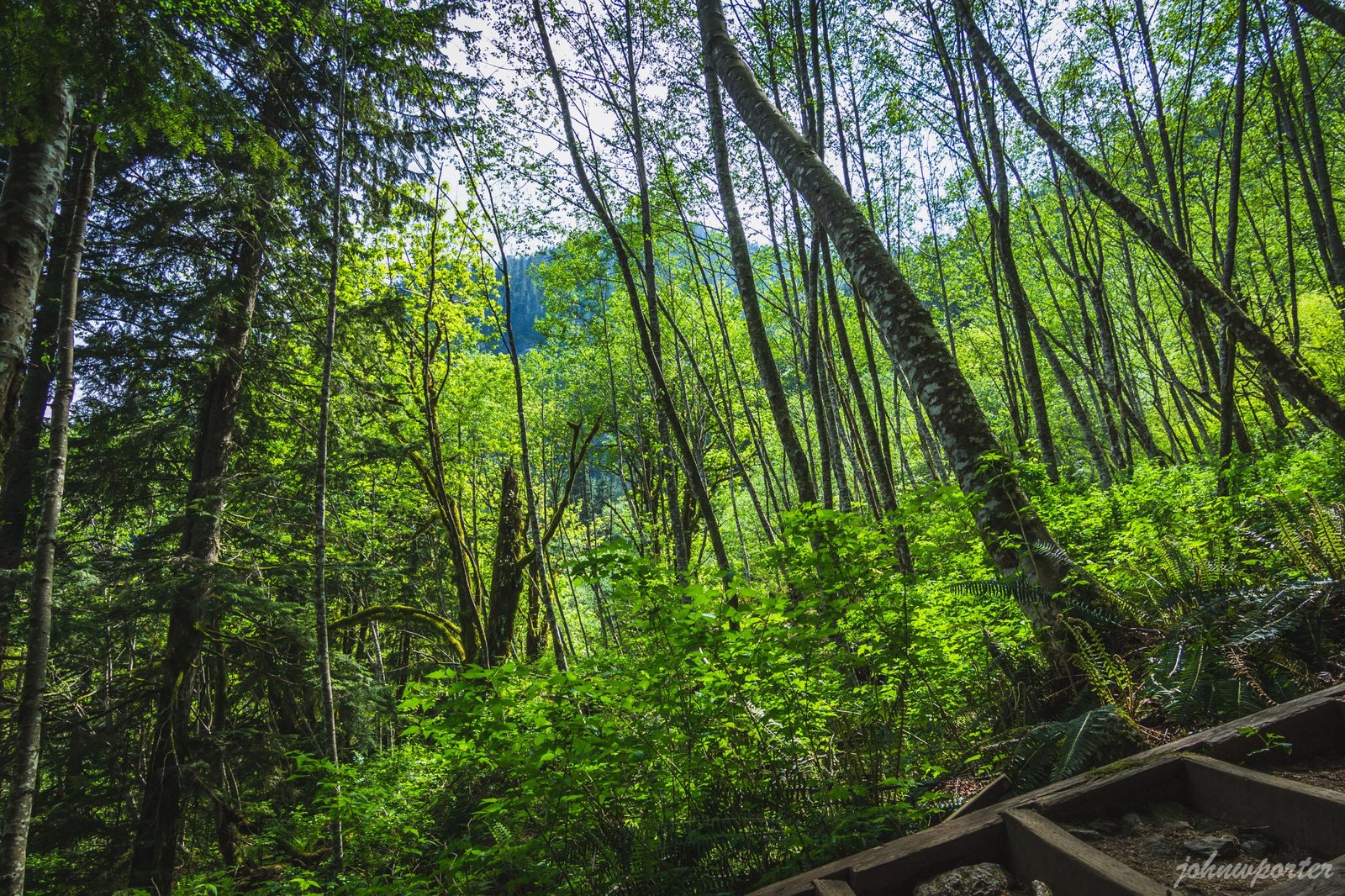 Philadelphia Mountain by Mount Index via Lake Serene Trail / 費城山