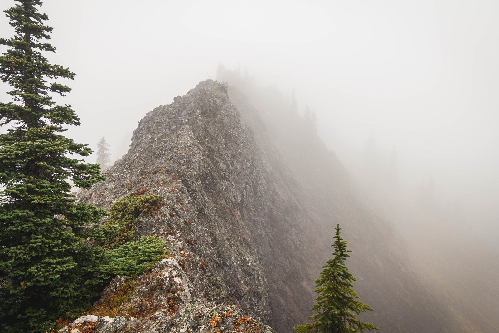 French Cabin Mountain on Kachess Ridge / 卡契斯上的法國小屋山