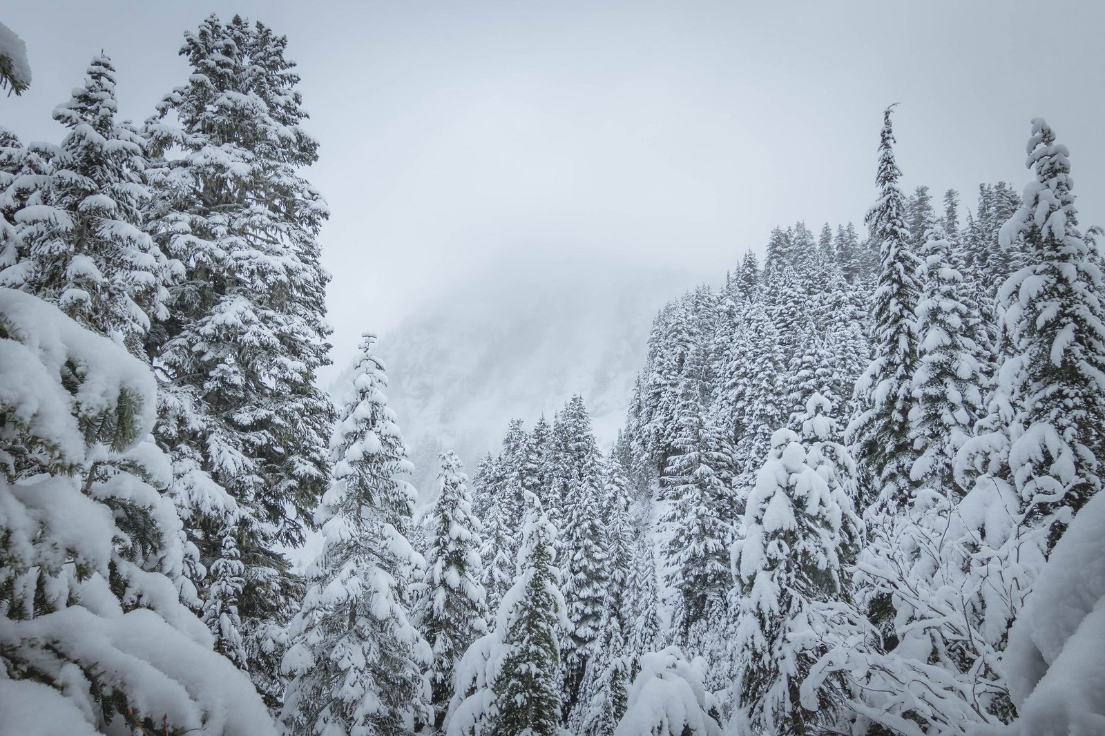 Dickerman Mountain by Stillaguamish Peak via Mountain Loop Highway / 迪克曼山