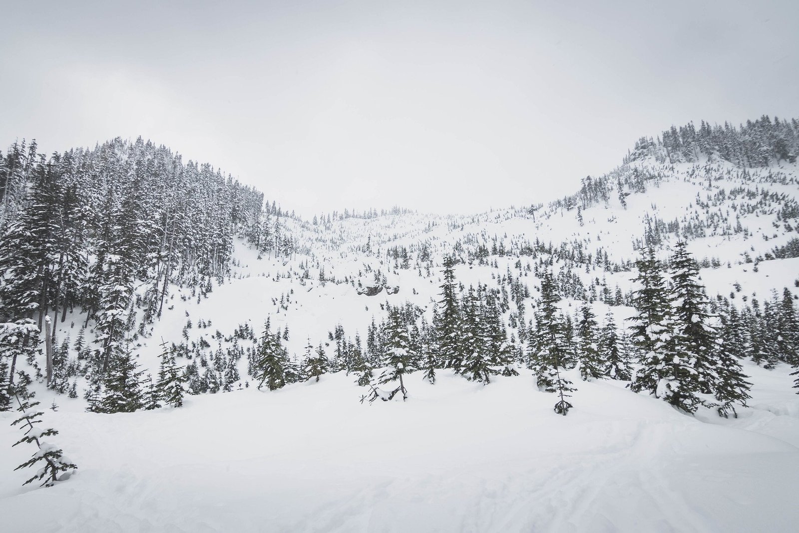Roaring Ridge by Mount Catherine via Hyak Summit East / 咆哮脊