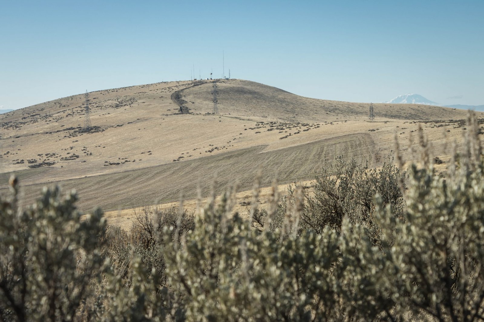 Chandler Butte + McBee Hill by Rattlesnake Hills / 錢德勒孤峯