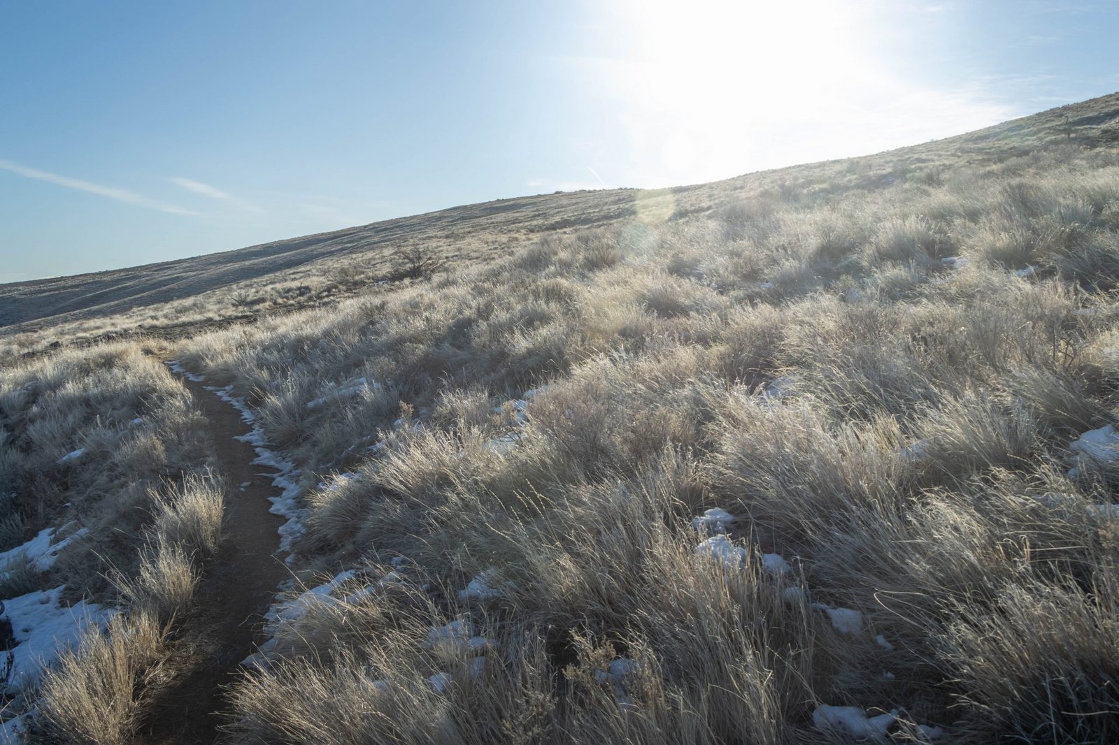 Cowiche Mountain East Peak via Snow Mountain Ranch / 考維其山東峯