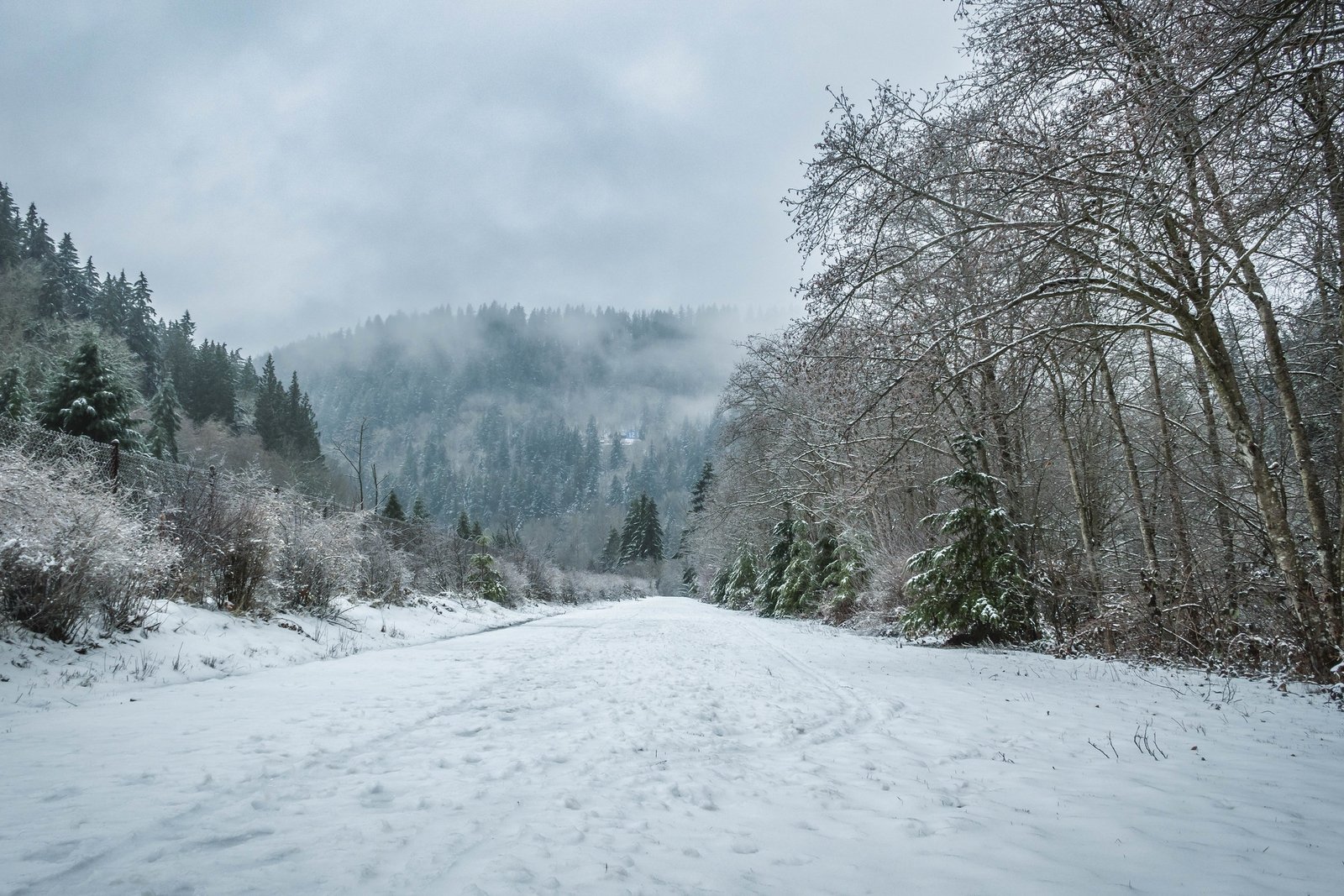 Issaquah-Preston Trail by Tiger Mountain via High Point / 伊普步道
