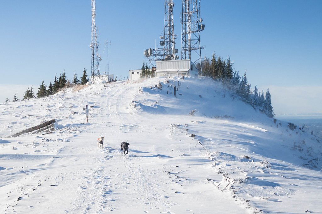 West Tiger Mountain via Bootleg Trail + Preston Powerline Trail / 西虎山