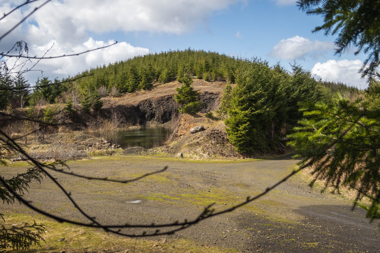 Mount Madron by Kamilche Hill and Capitol State Forest / 馬德龍山