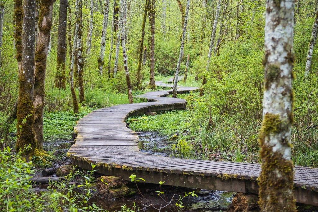 Duthie Hill by Grand Ridge and Soaring Eagle Regional Park / 杜西山丘
