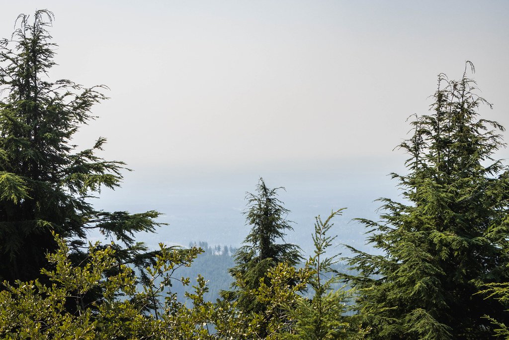 Tiger Mountain via Bootleg Trail + Preston Powerline Trail / 西虎山