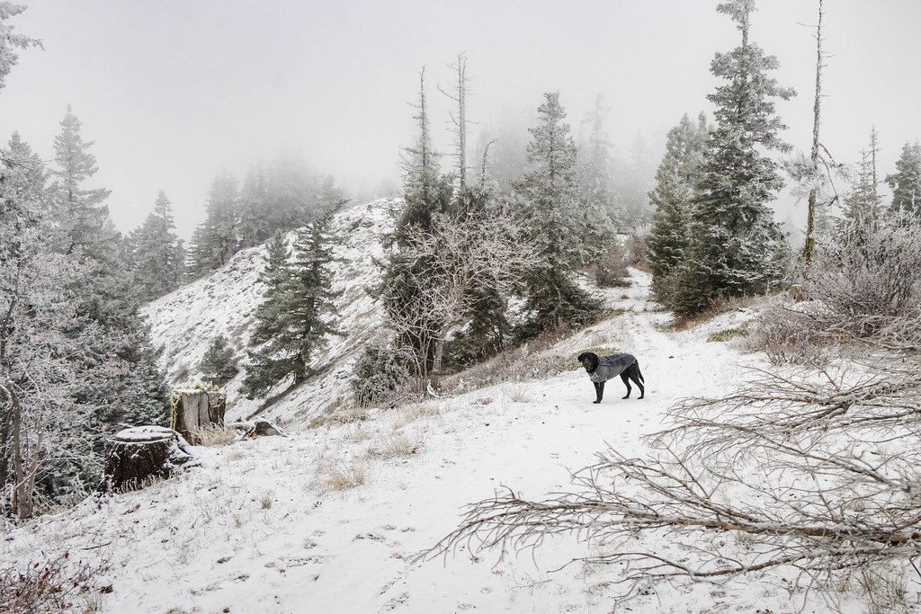 Easton Ridge Lookout Site by Kachess Ridge and Yakima River / 伊士頓瞭望址