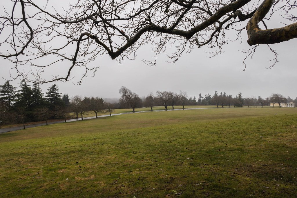Discovery Park Hill via Loop Trail by Elliott Bay in Seattle / 探索公園