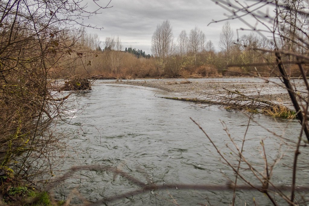 Green River Natural Area by Flaming Geyser State Park / 綠河