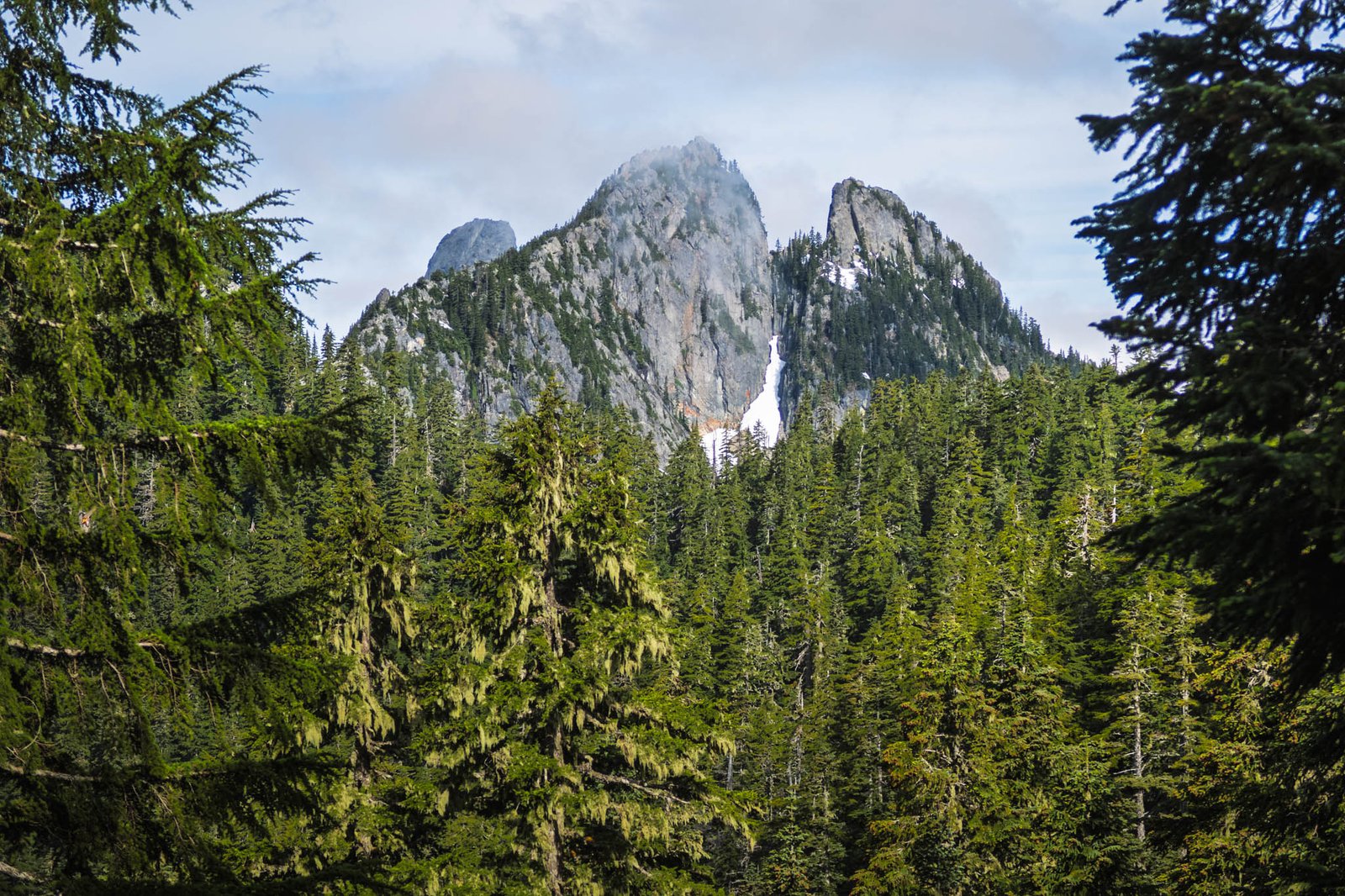 Mount Garfield East Peak by Treen Peak via Green Ridge Trail / 加菲山 ...